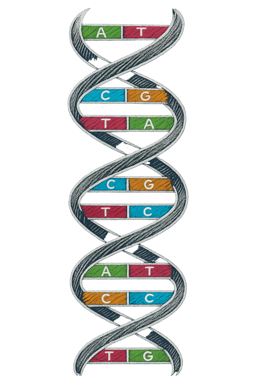 Hva er DNA? Den biologiske oppskriften på deg - EnkelEksamen